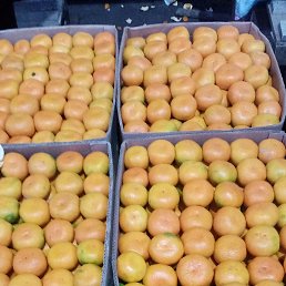 Qedi, 31 год Телец, Россия, Москва Знакомства ID 127434736 – Фотострана