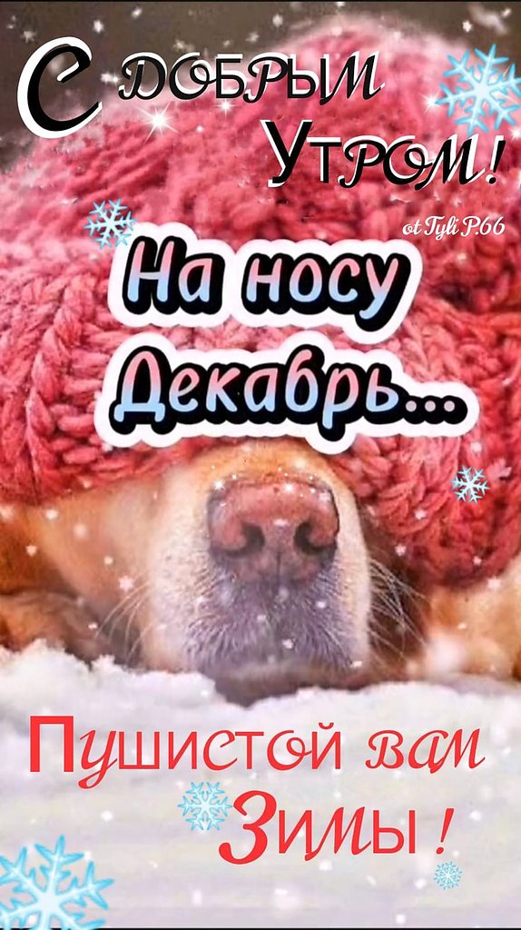 https://fotostrana.ru/away?to=/sl/3Y | ПРИВЕТСТВИЯ и ПОЖЕЛАНИЯ ...