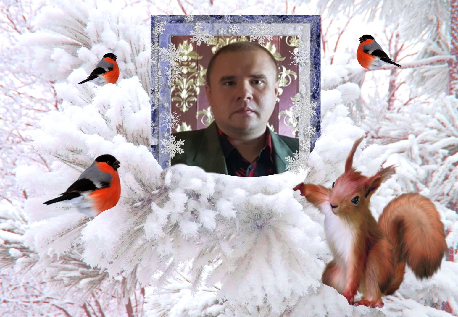 Evgen Evgen опубликовал пост от 25 ноября 2023 в 19:49 | Фотострана | Пост №2644088890