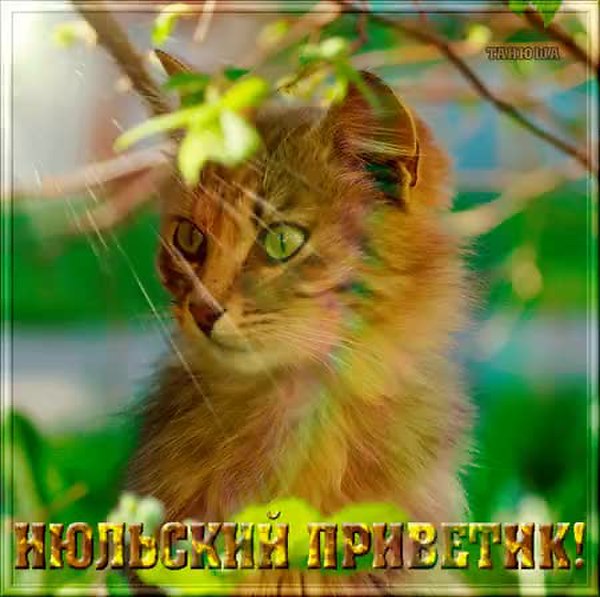 Краски жизни!